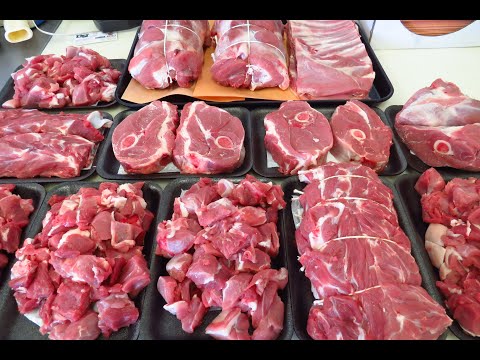 HOW TO PORTION MEATS INTO FAMILY SIZE PORTIONS