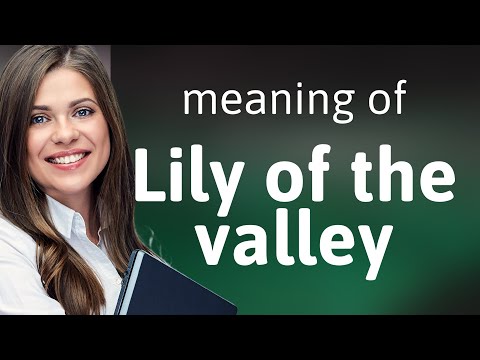 Unveiling the Beauty and Symbolism of "Lily of the Valley"