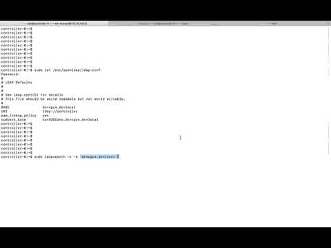 How to do ldapsearch Example
