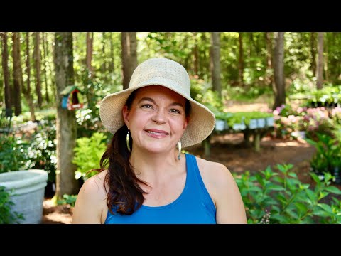 How to Survive This Crazy Heat & 50% Sale