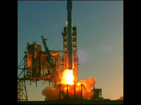 Mouse sperm sent into space