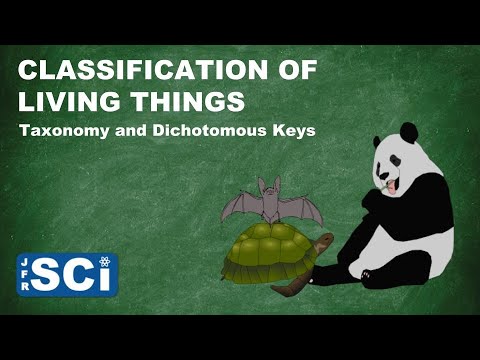 Classification of Living Things