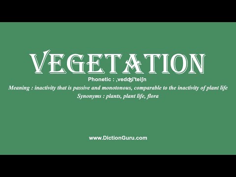 How to Pronounce vegetation with Meaning, Phonetic, Synonyms and Sentence Examples
