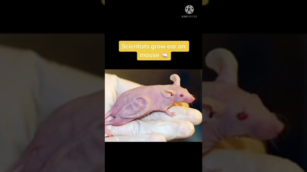 science experiment gone wrong part2