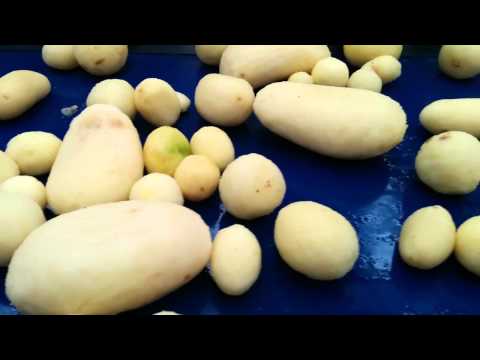 Martin Maq - Peladoras serie PCV - Peelers PCV series - PCV series peleuse