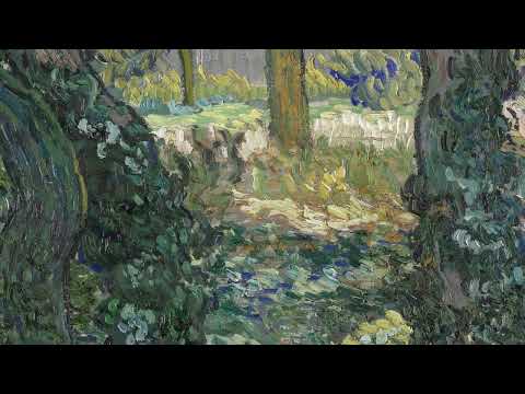 7-Minute Meditation: Vincent van Gogh's Undergrowth - Van Gogh Museum