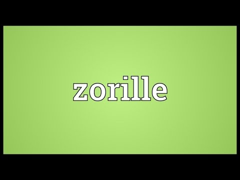 Zorille Meaning