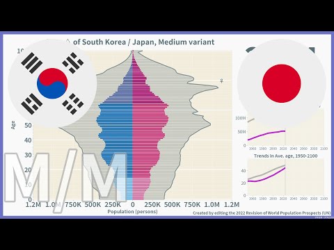 [🇰🇷South Korea vs 🇯🇵Japan] Comparison of Population Pyramids (1950-2100) / 2022, Medium