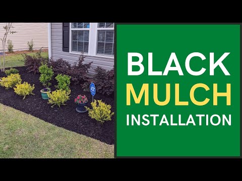 Black Mulch Installation