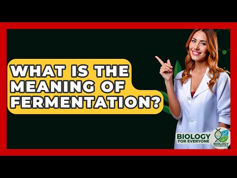 What Is The Meaning Of Fermentation? - Biology For Everyone
