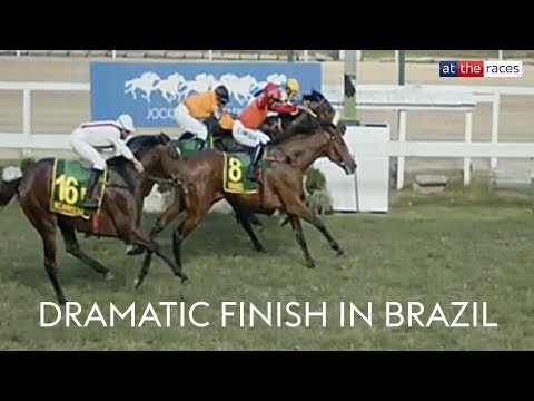 CRAZY FINISH TO HORSE RACE IN BRAZIL | Jockey nearly throws race away by celebrating early...