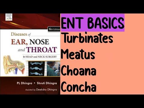 Turbinates | Meatus |Choana | Concha | Part 1 | Nose