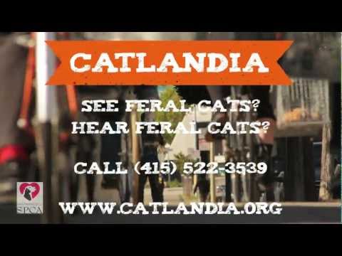 Catlandia, San Francisco SPCA Portlandia Spoof