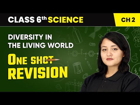 Diversity in the Living World - One Shot Revision | Class 6 Science Chapter 2 | CBSE 2024-25