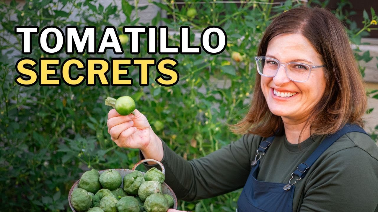 TOMATILLO GROWING SECRETS: What I Wish I Knew Sooner