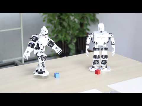 How does TonyPi kick with vision? Hiwonder AI Humanoid Robot Powered by Raspberry Pi