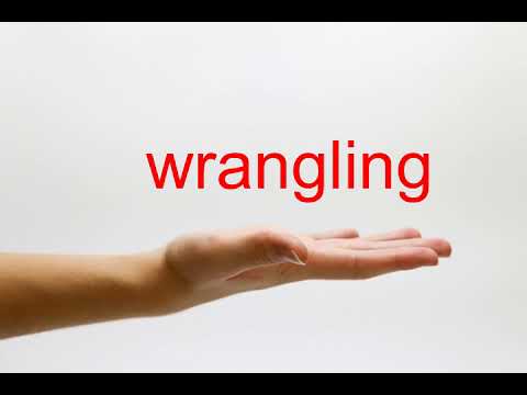 How to Pronounce wrangling - American English