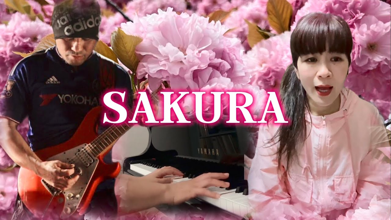 Most beautiful Yaezakura Double Cherry Blossoms from Japan by Kouji, Hiroko, Kanade, Pianist Elisa