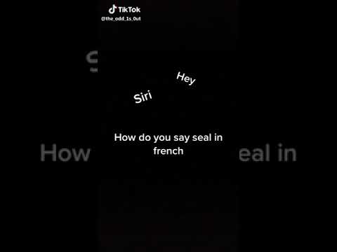 Seal in French meme