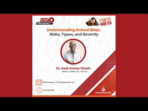 Understanding Animal Bites: Risks, Types, and Severity