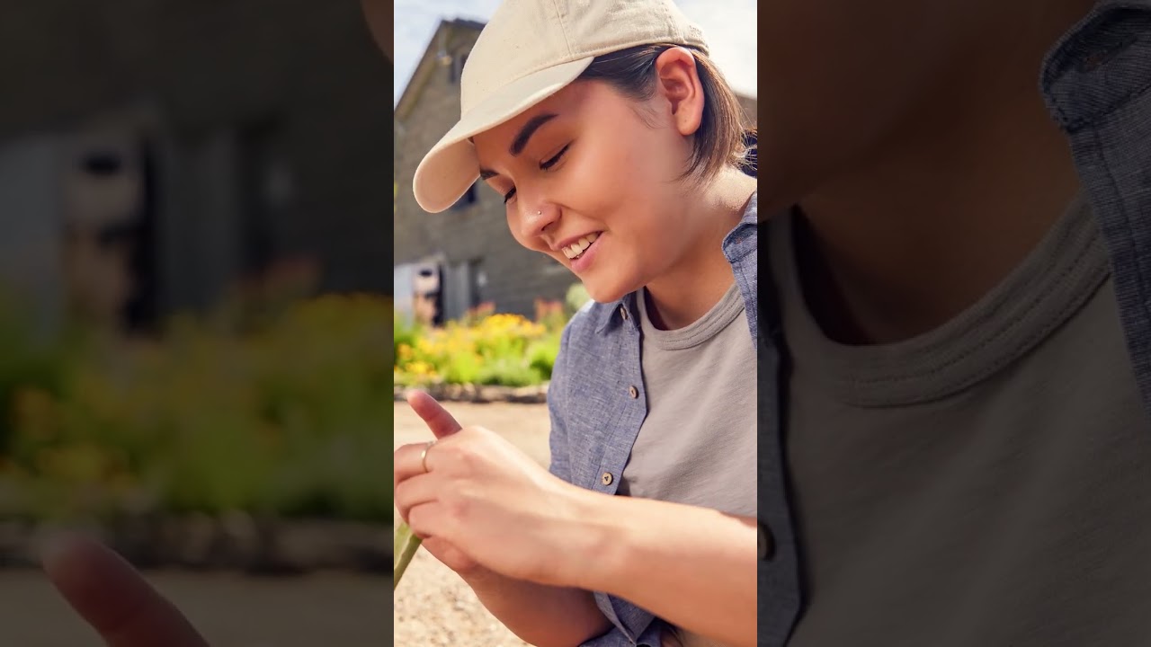 No Risk, All Reward. Select CWI on Apply Idaho.