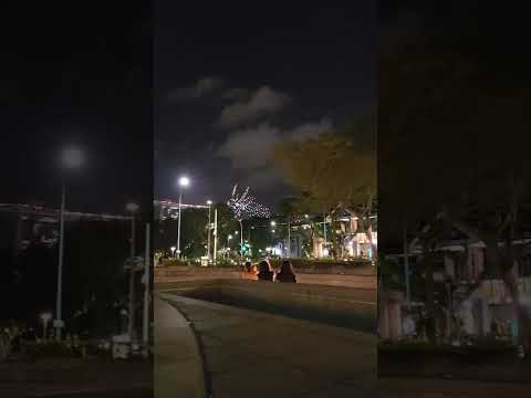 2024 Chinese New Year Drone Show
