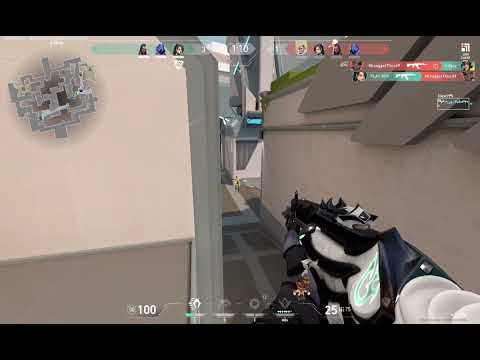 TE MiKE (Valorant Clips)