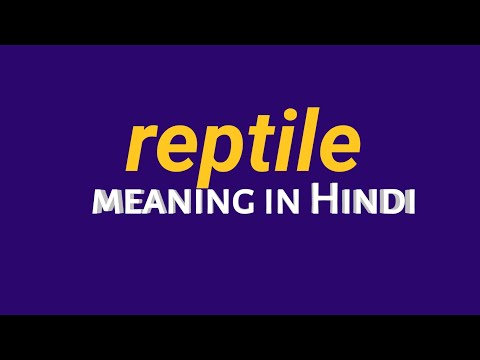 reptile meaning in Hindi || reptile ka matlab kya hota hai || reptile
