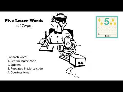 Five letter words 17wpm