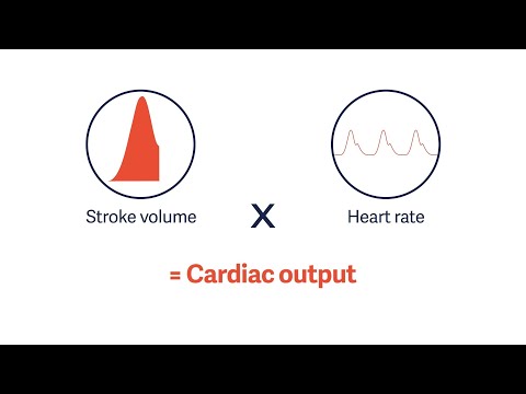 The Arterial Blood Pressure: Pressure Curve, Mean Arterial Pressure and Pulse Contour Analysis.