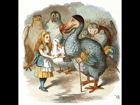 The hidden meaning and TRUTH about Alice in Wonderland by Bill Donahue