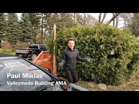 50,000 square foot mansion - Ground Zero