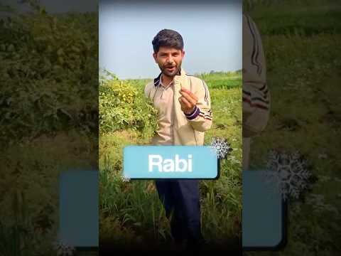 Rabi & Kharif Crops Explained with Practical Examples! #sst #digrajsir