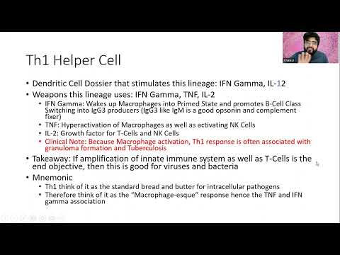 Functions of Mature T-Cells, Immunology Lecture 6