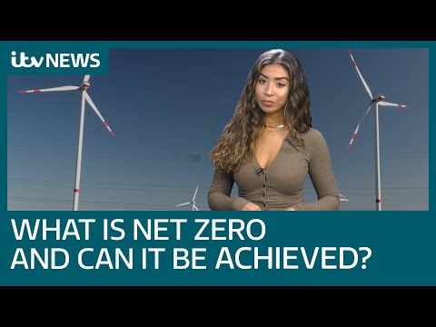 What does net zero mean and how can it be achieved? | ITV News