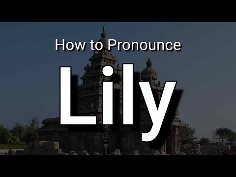 Lily - Pronunciation and Meaning