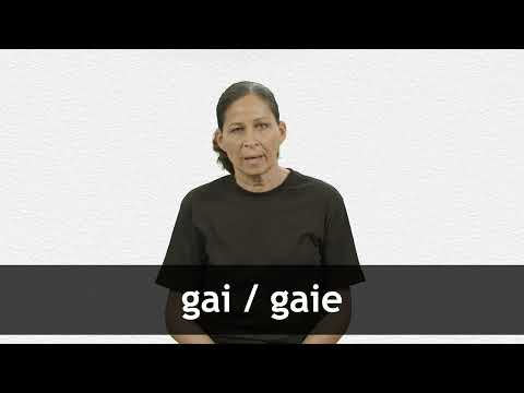 English Translation of “GAI” | Collins French-English Dictionary