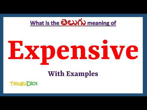 Expensive Meaning in Telugu | Expensive in Telugu | Expensive in Telugu Dictionary |