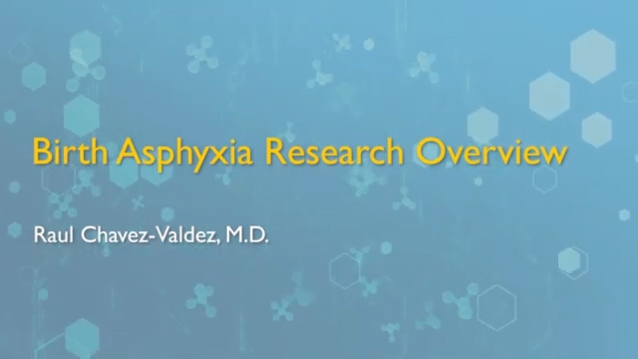 Birth Asphyxia Research Overview