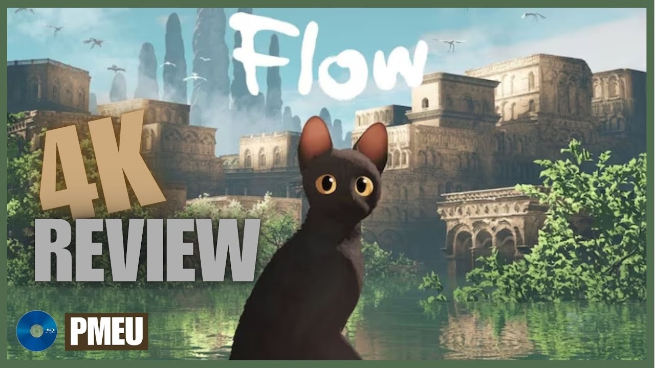 Flow 4K Blu-ray x Curzon Films - Their best release yet?