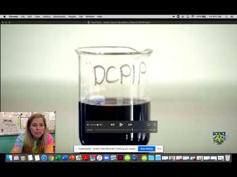 Unit 4- Food Test for Vitamin C