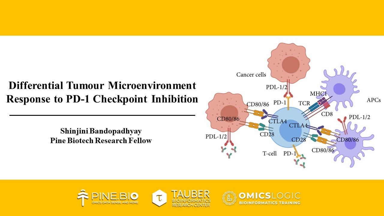 Differential Tumour Microenvironment Response to PD 1 Checkpoint Inhibition - By Shinjini