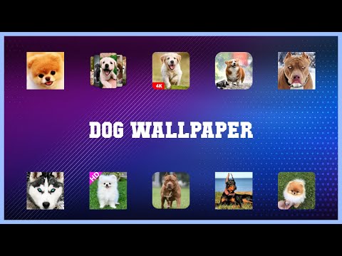Must have 10 Dog Wallpaper Android Apps