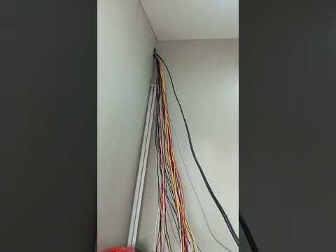 TF WIRE#shorts