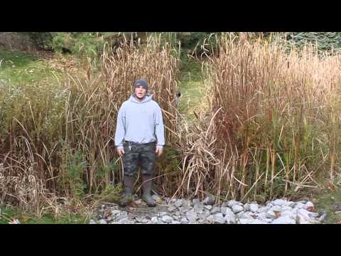 Detention Pond Maintenance