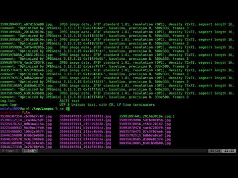 17 Running Multiple Commands in Parallel on a GNU Linux