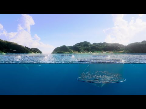 The Power of Precision Aquaculture