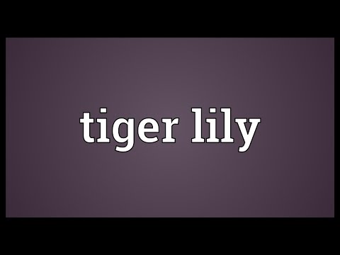 Tiger lily Meaning