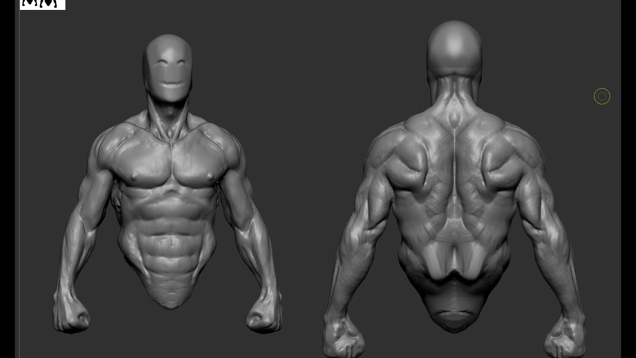 anatomy study 1