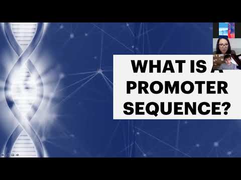 SN Applied Sciences Webinar - Coding bacterial genetic information into structural attributes
